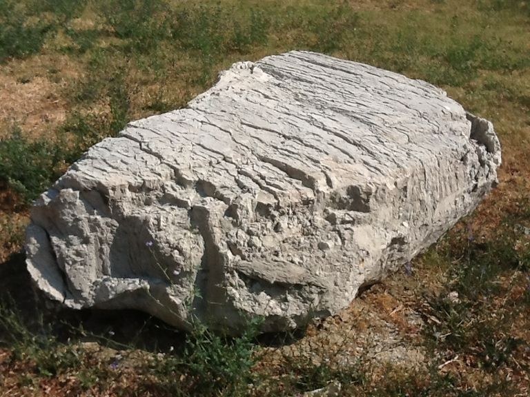 Calcare a palombini - Geologia, suoli e sismica - Ambiente