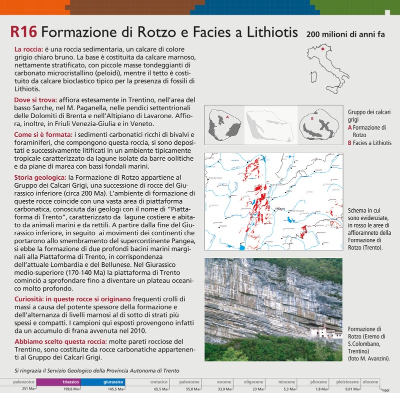 R16. Formazione di Rotzo e Facies a Lithiotis - Geologia, suoli e ...