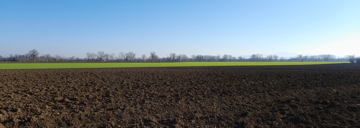 Conoscere il suolo - Geologia, suoli e sismica - Ambiente